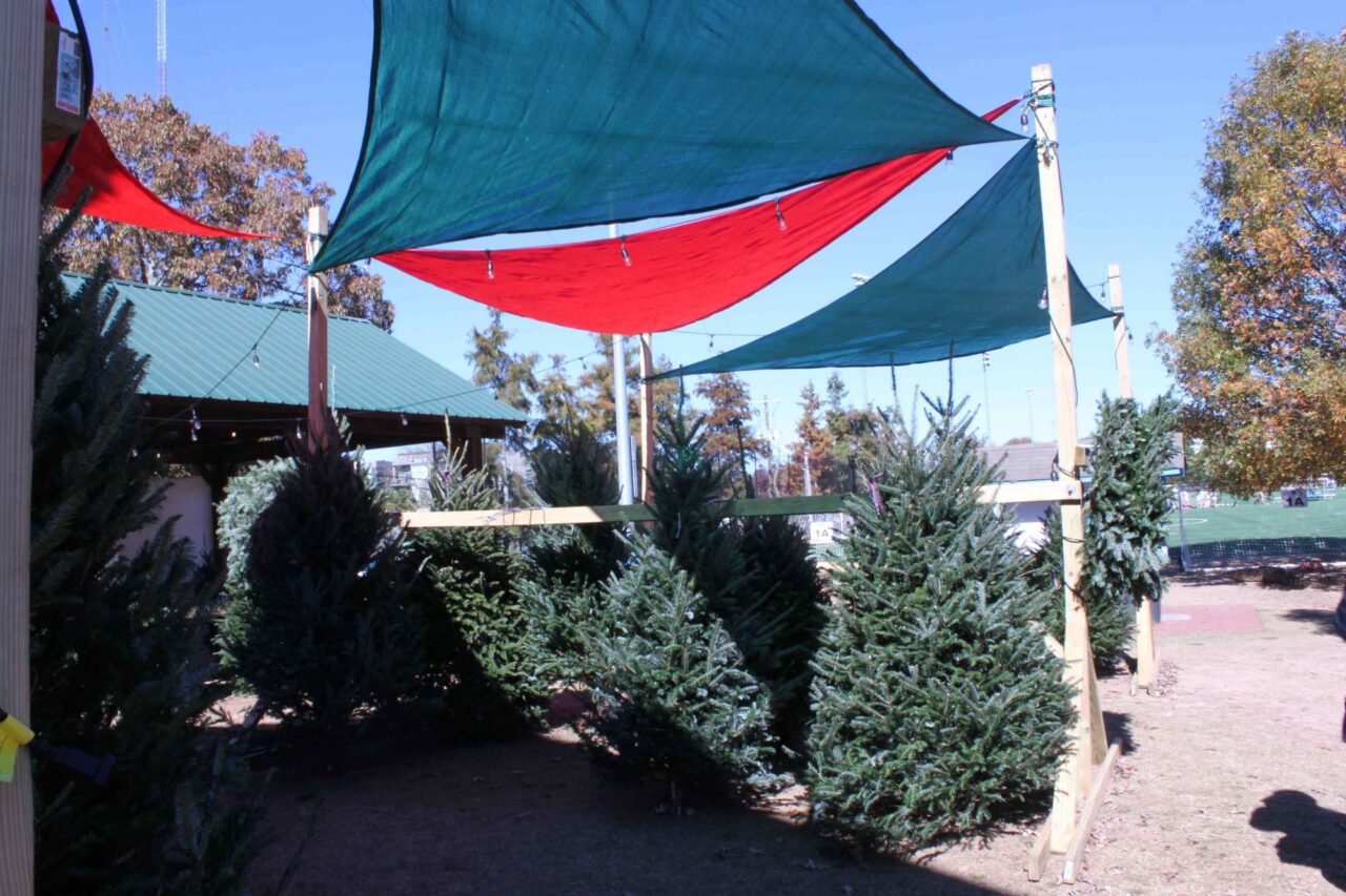 Christmas Tree Installation
